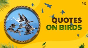 Best 15 Quotes on Birds for International Migratory Bird Day