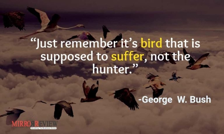 Best 15 Quotes on Birds for International Migratory Bird Day