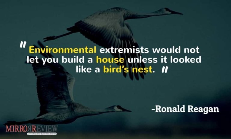Best 15 Quotes on Birds for International Migratory Bird Day