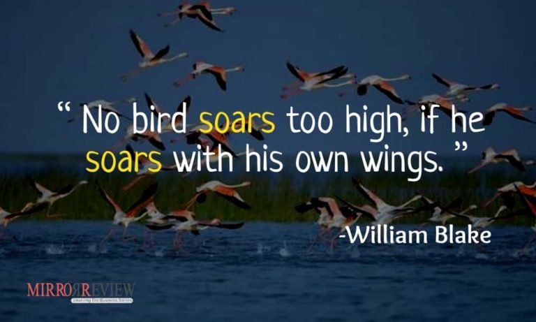 Best 15 Quotes on Birds for International Migratory Bird Day