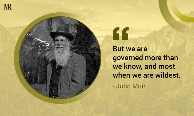 15 John Muir Quotes That Will Reconnect You With Nature